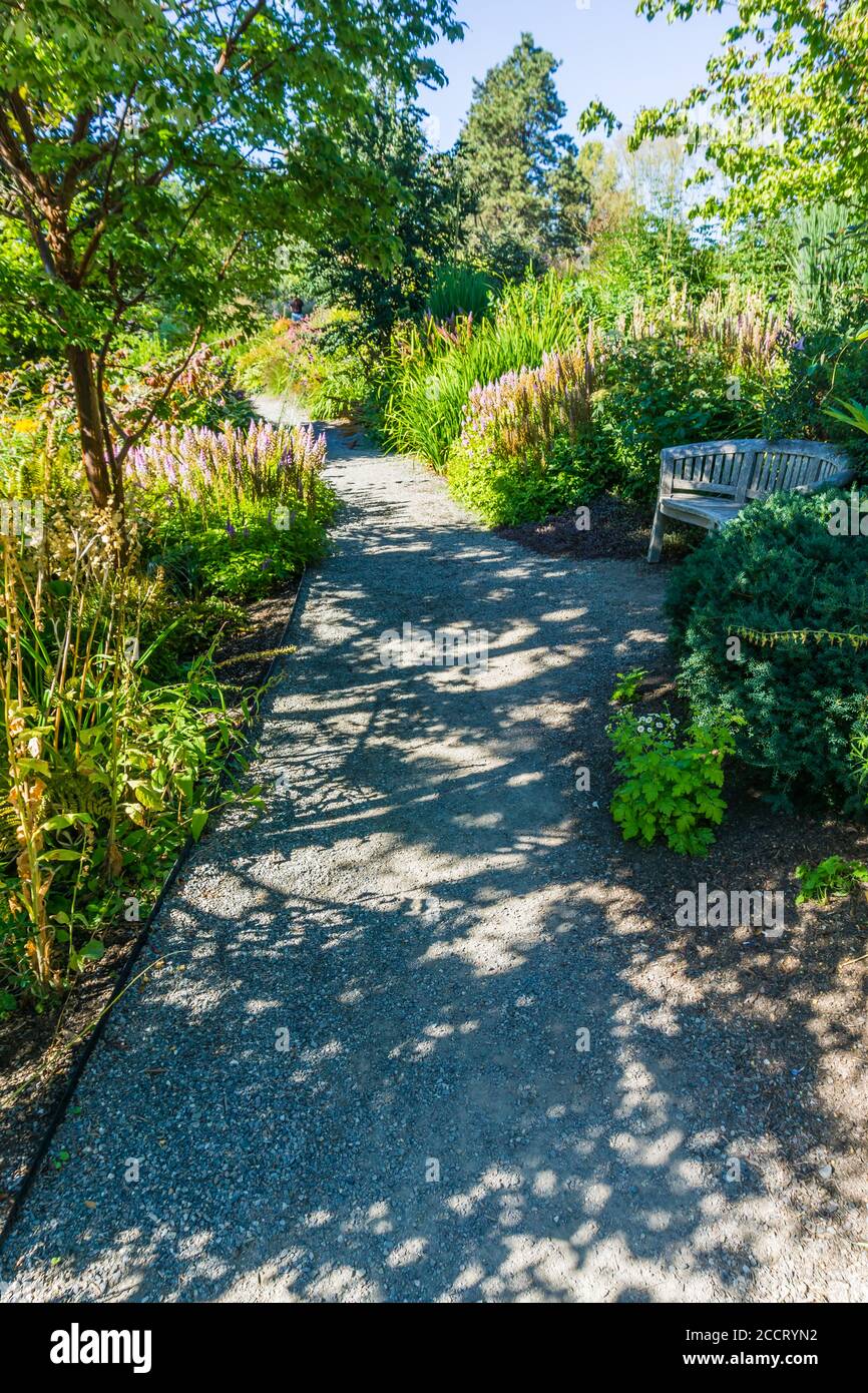 A path in a botanical garden in Bellevue, Washington Stock Photo - Alamy