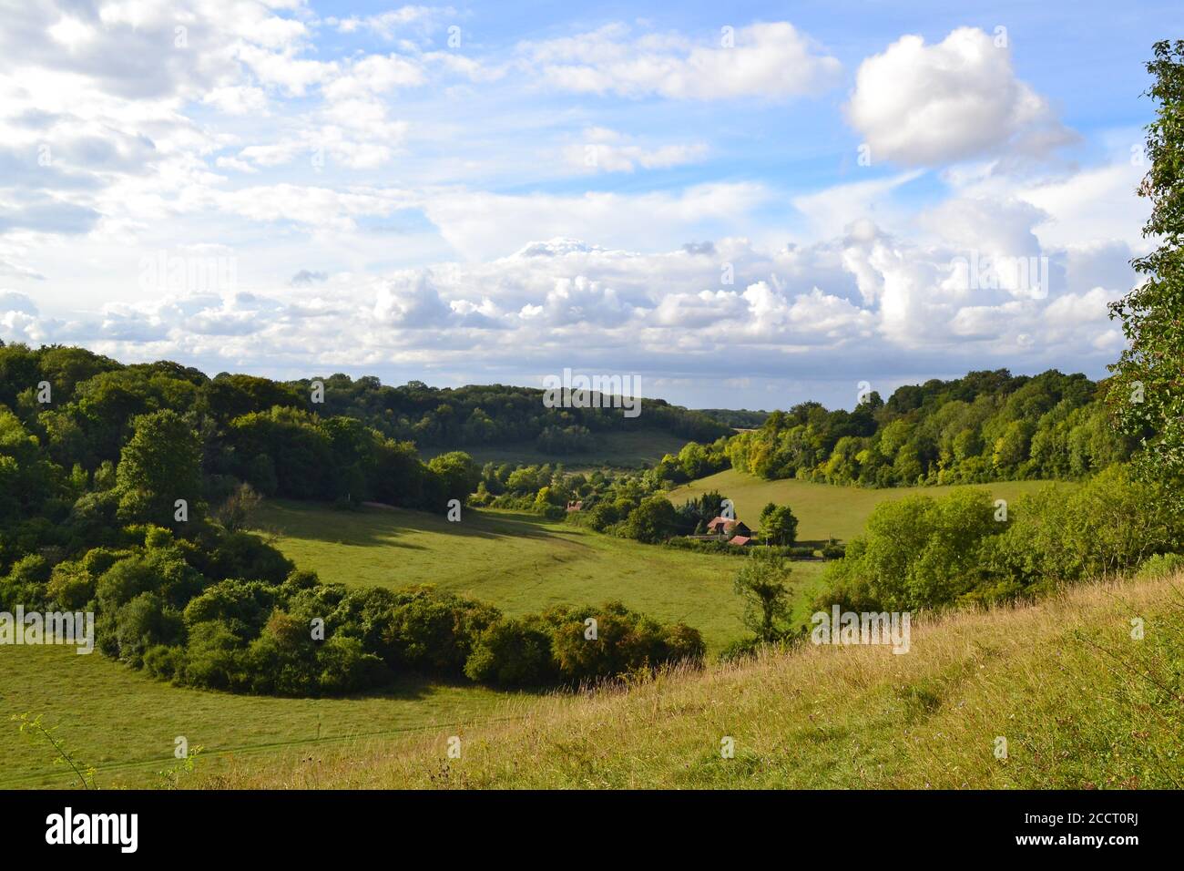 Scenes from Magpie Bottom, a beautiful rewilded valley head rich in ...