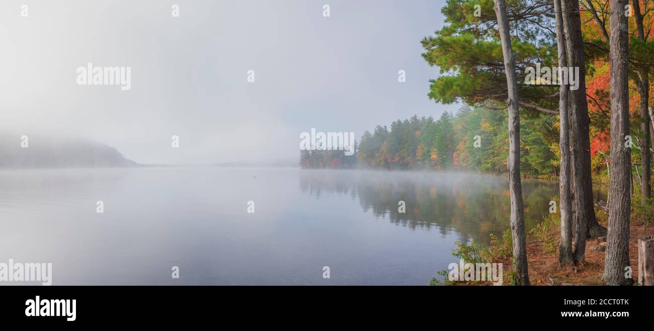 Misty morning canadian river hi-res stock photography and images - Alamy