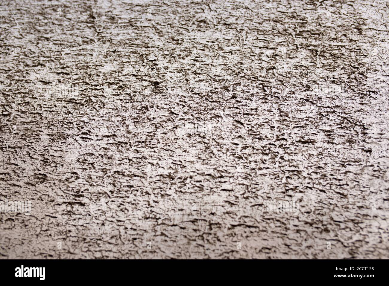 Gray color frosted glass texture hi-res stock photography and images ...