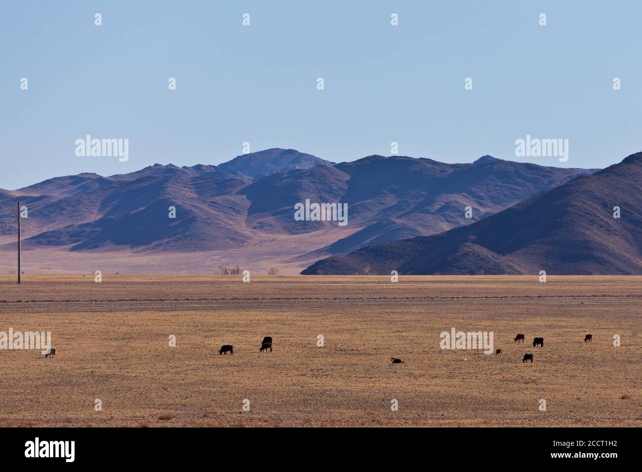 landscape of western Mongolia, Ulgii, Mongolia Stock Photo - Alamy