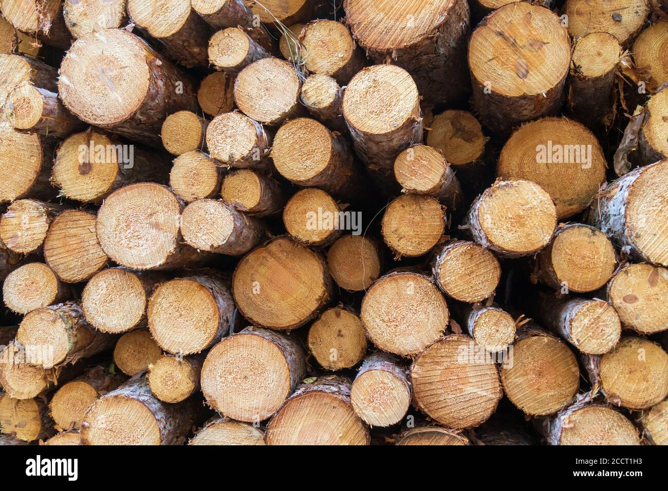 Fireworks material hi-res stock photography and images - Alamy