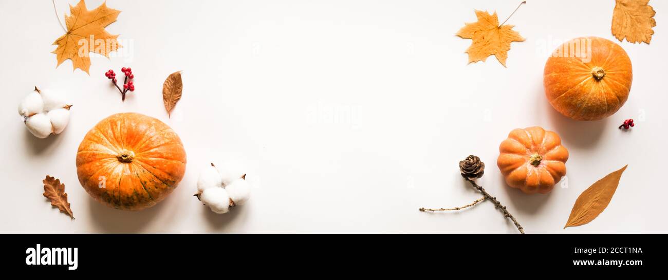 Autumn composition - pumpkins, autumn leaves, pine cones isolated on ...