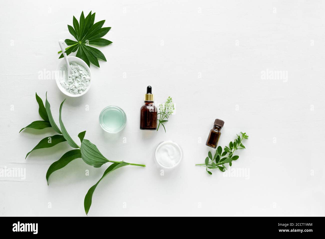 Natural cosmetics and green leaves on white background, top view, copy ...