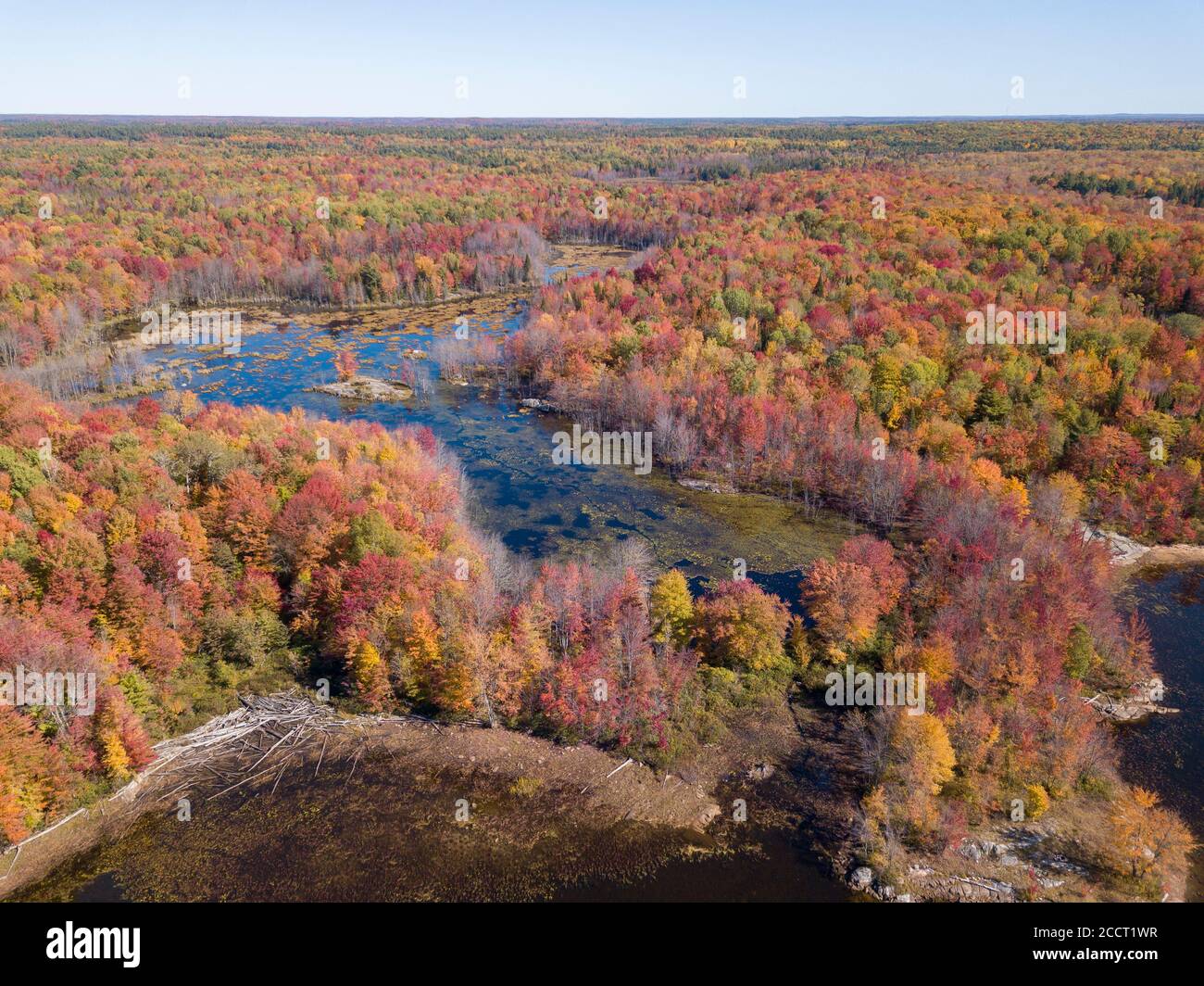 Fall colors in the lake by drone Stock Photo - Alamy