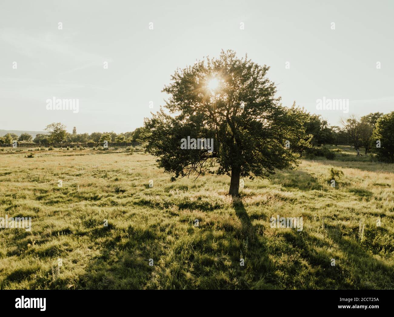 Summer warm sunny field. rays of the sun Stock Photo - Alamy