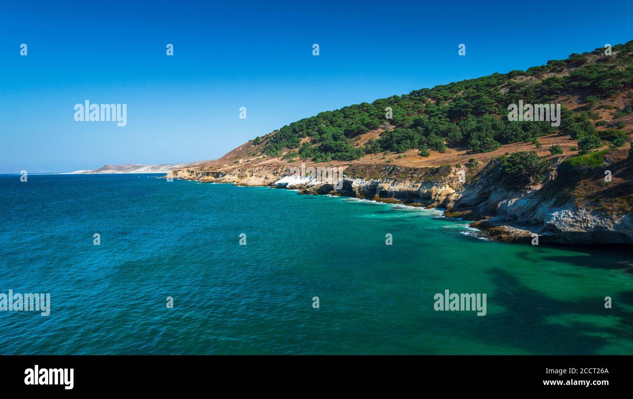 Torrey Pines and Skunk Point, Santa Rosa Island, Channel Islands ...