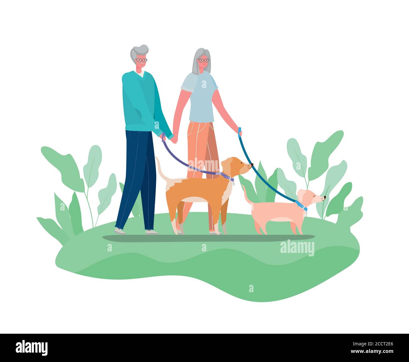 Senior woman and man cartoons with dogs at park design, Activity theme ...