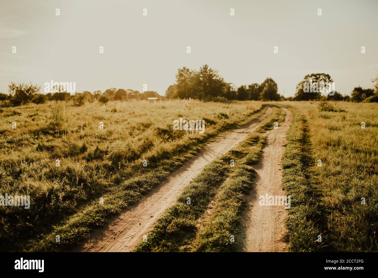 Summer warm sunny field. rays of the sun Stock Photo - Alamy