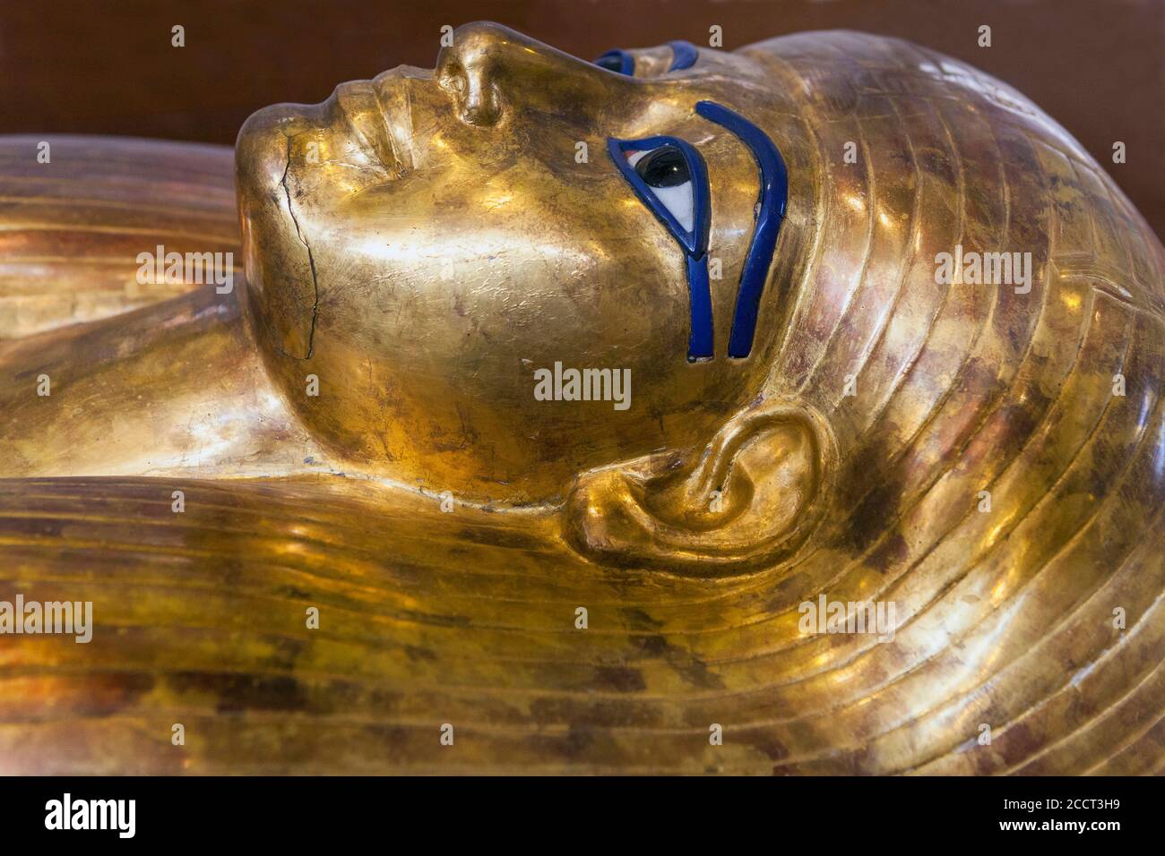 Mummy of thuya hi-res stock photography and images - Alamy