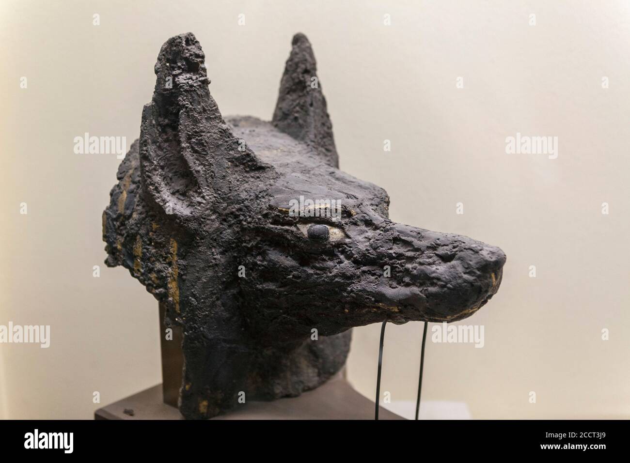 Jackal mask, Museum of Egyptian Antiquities, Cairo Stock Photo - Alamy