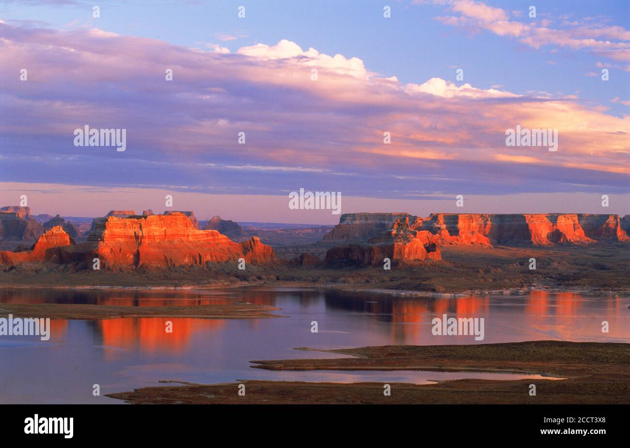 Aerial view of lake powell hi-res stock photography and images - Alamy