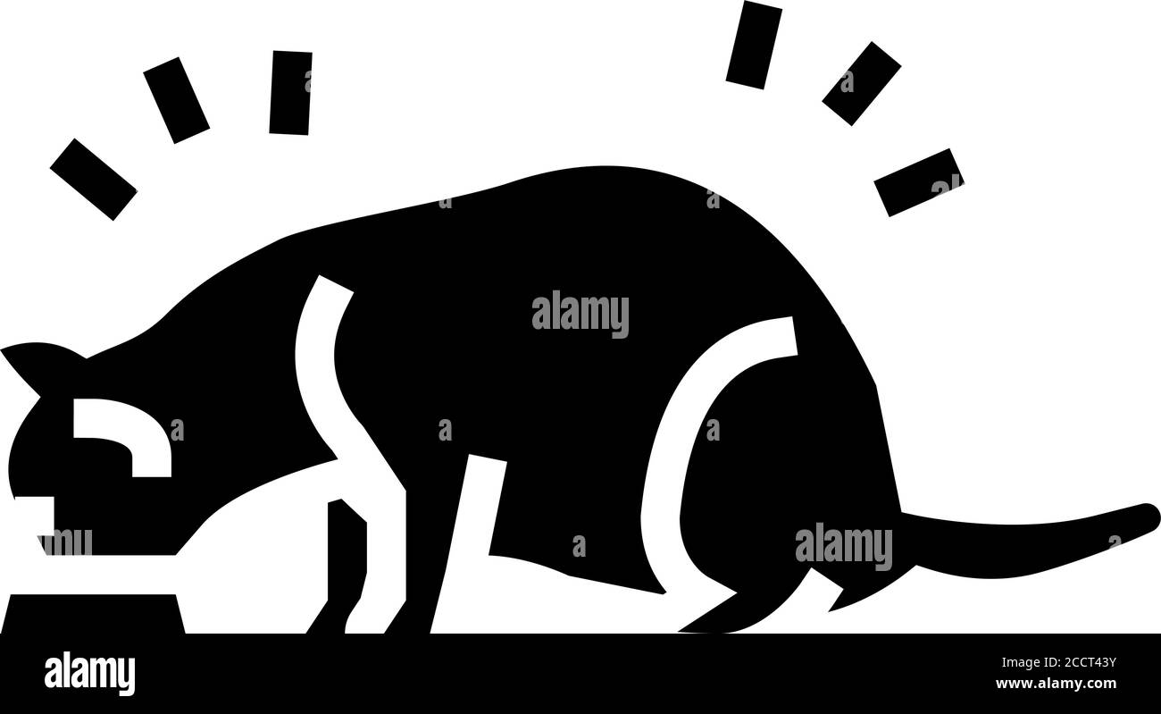 cat eating food glyph icon vector illustration Stock Vector Image & Art ...