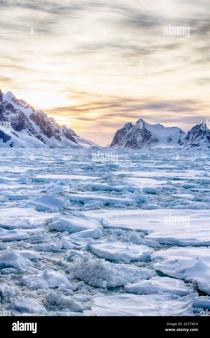Summer sunset over pack ice field in Antarctica Stock Photo - Alamy