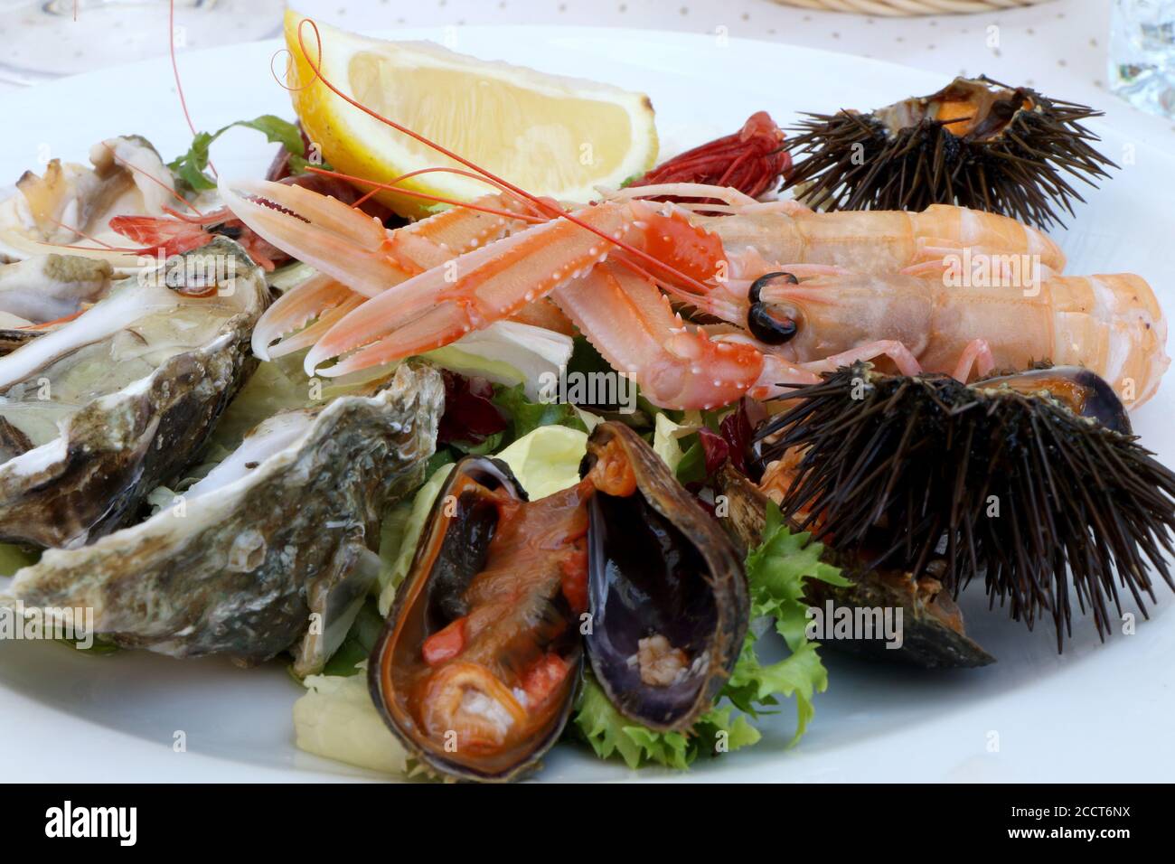Fresh seafood platter. Mussels, shrimps, Norway lobster, sea urchins ...