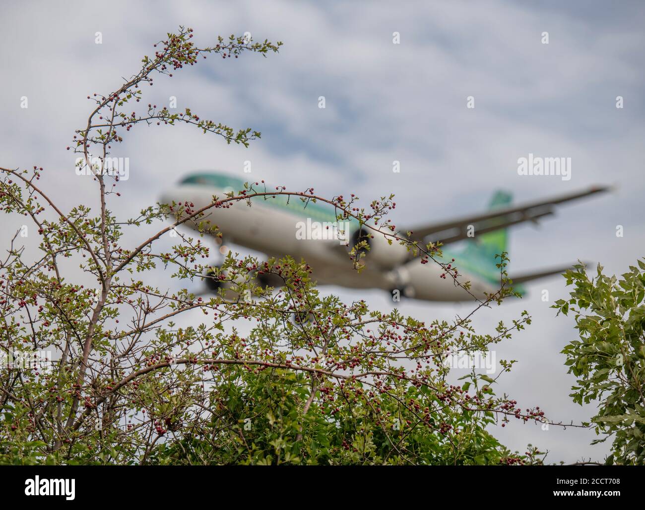 Bush operations hi-res stock photography and images - Alamy