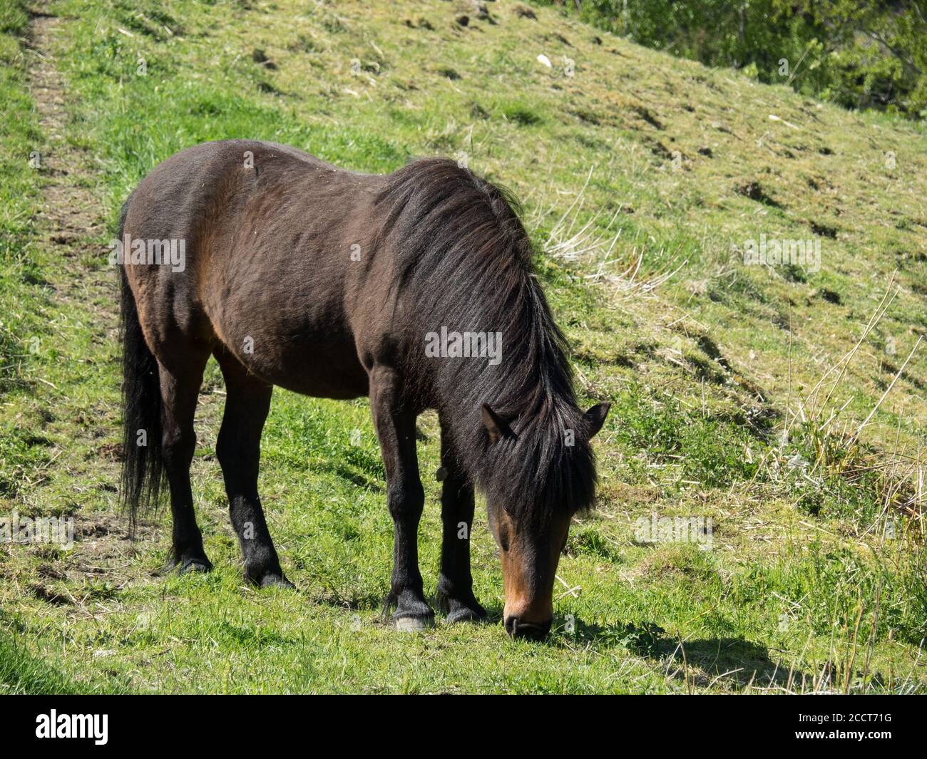 small village flam in norway Stock Photo - Alamy