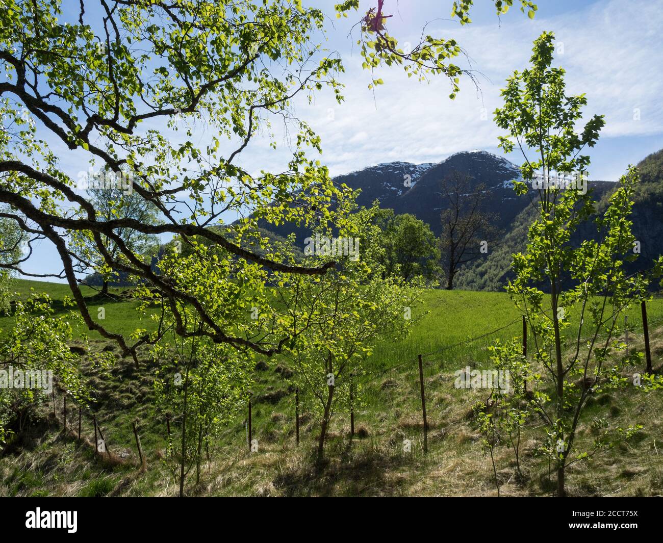 small village flam in norway Stock Photo - Alamy
