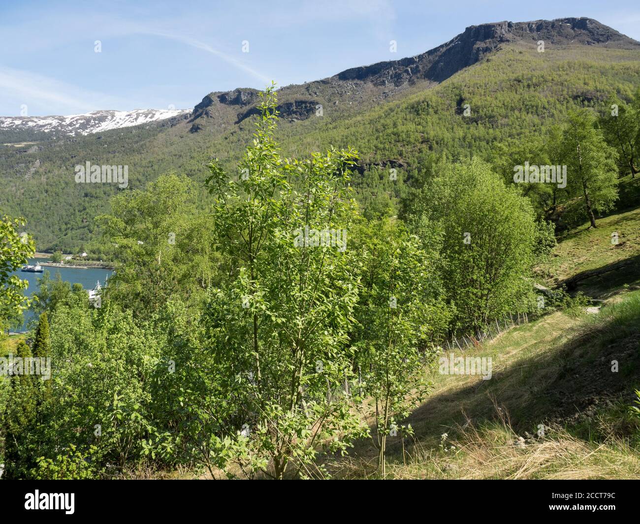 small village flam in norway Stock Photo - Alamy