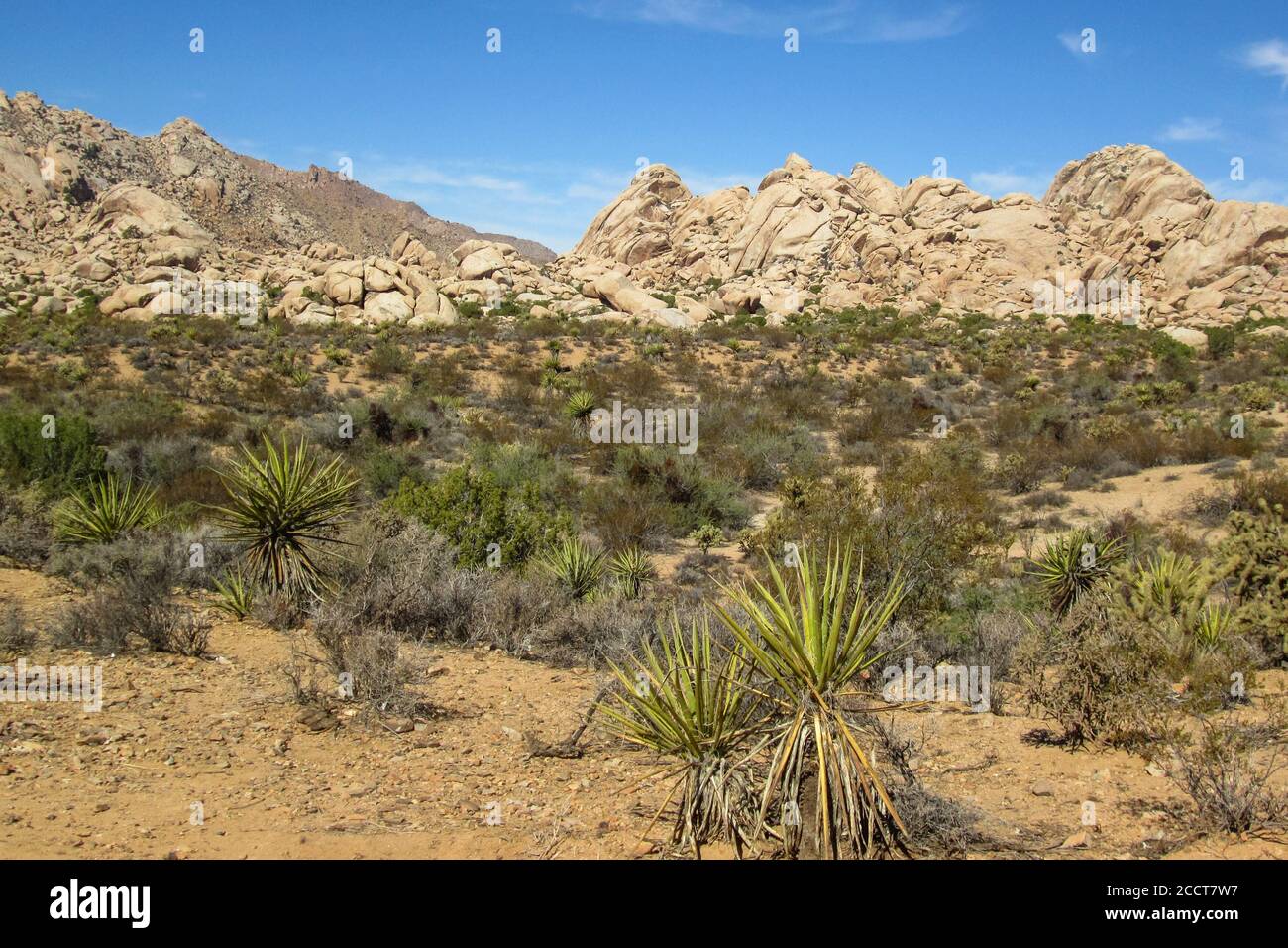 Lake mead national recreation a hi-res stock photography and images - Alamy