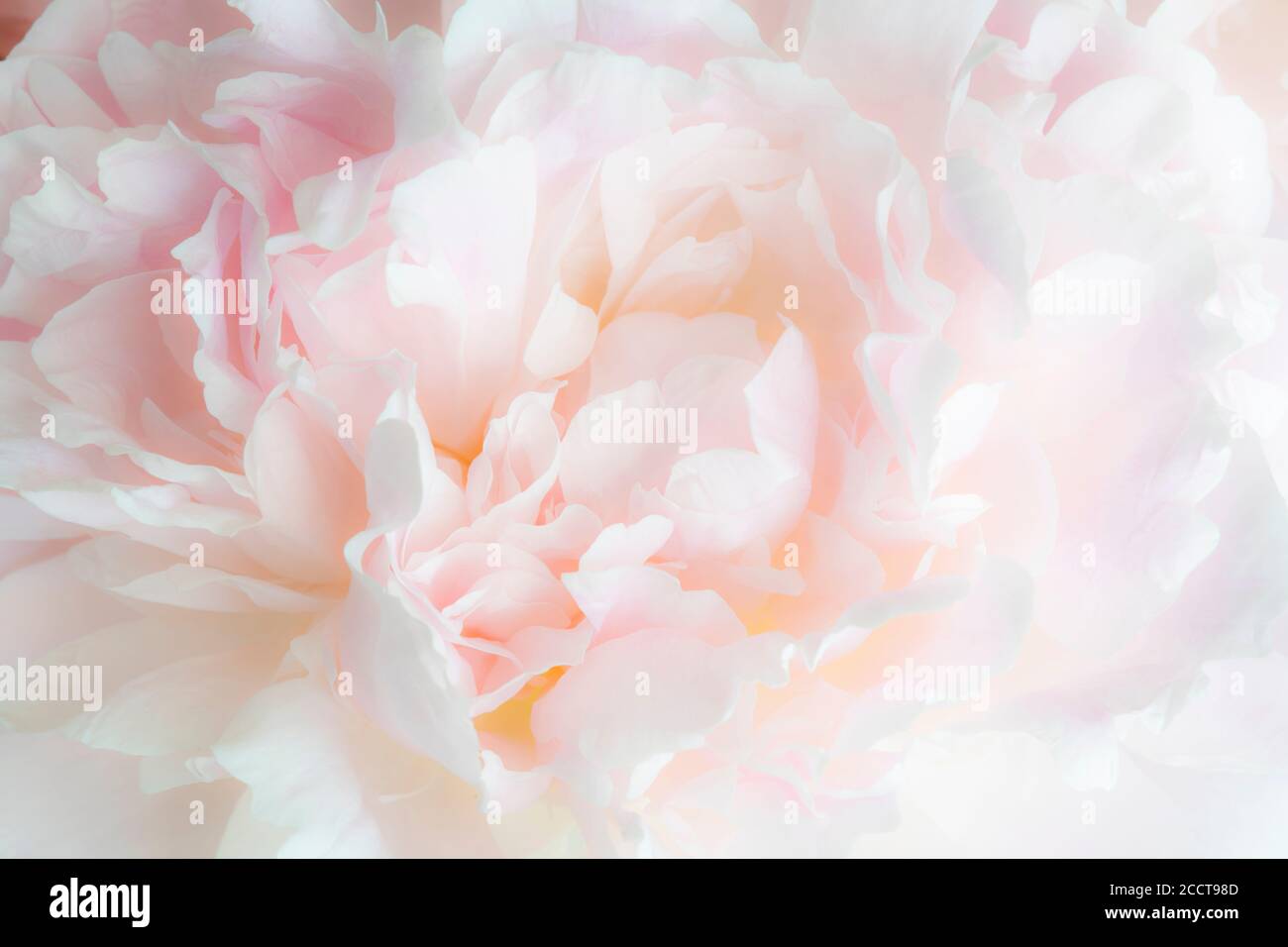Dominique braud hi-res stock photography and images - Alamy