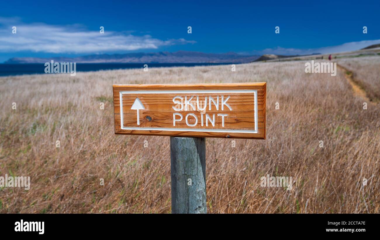 Hiker on the Skunk Point trail, Santa Rosa Island, Channel Islands ...