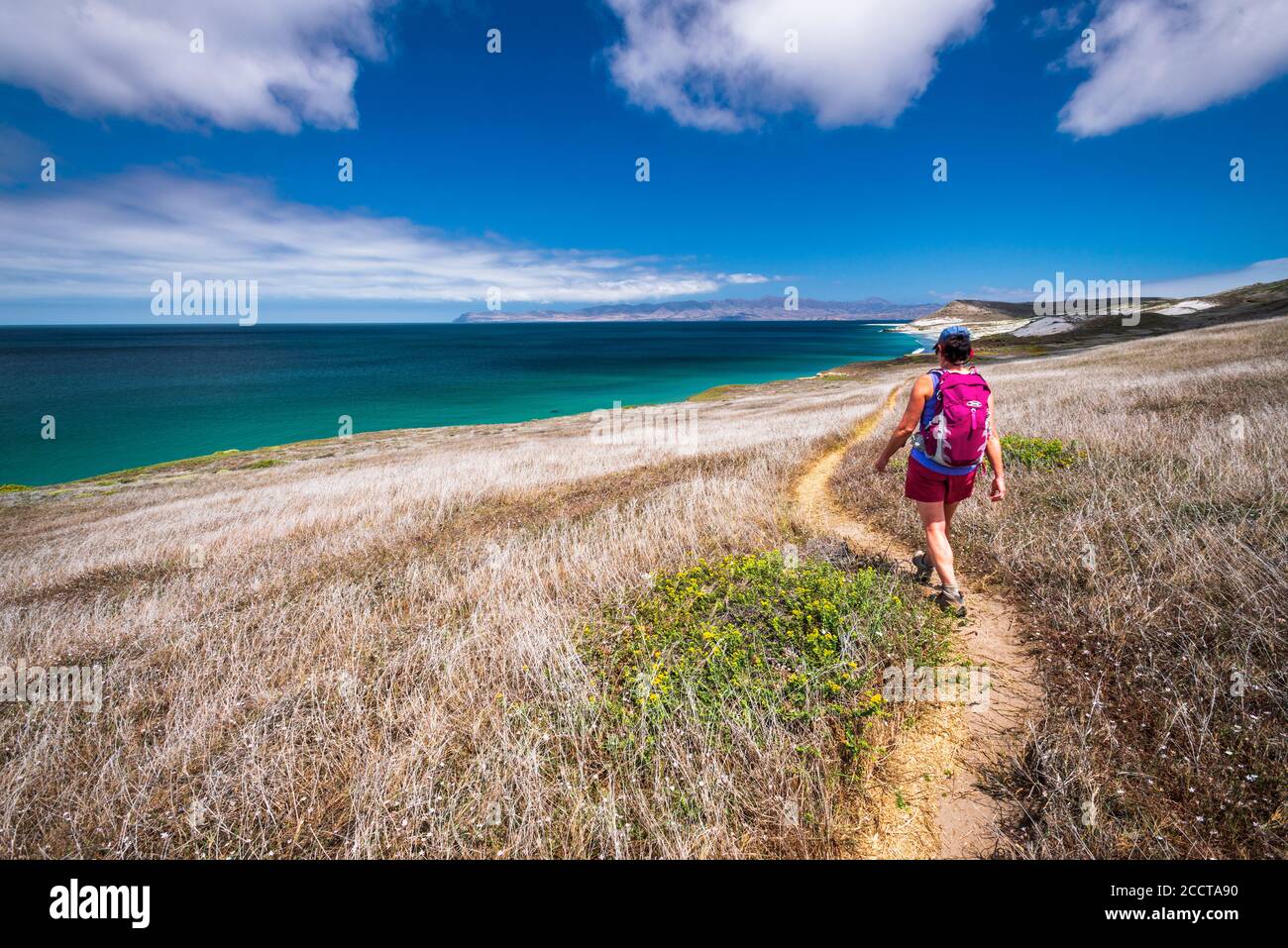 Hiker on the Skunk Point trail, Santa Rosa Island, Channel Islands ...
