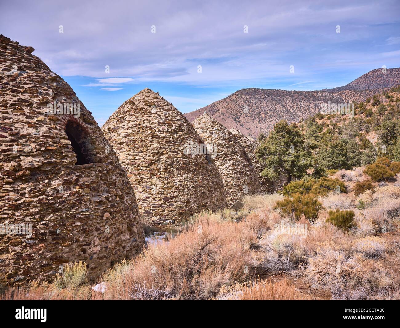 Shaped Shrubs High Resolution Stock Photography and Images - Alamy