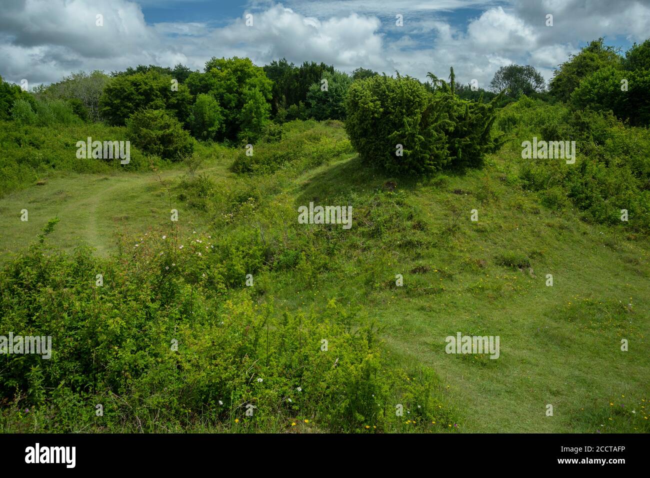 Noar hill nature reserve hi-res stock photography and images - Alamy