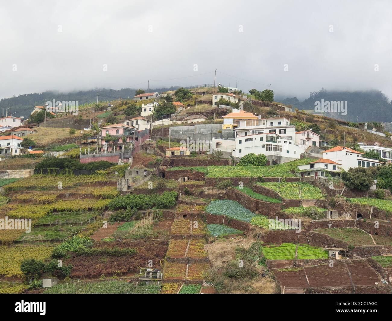 funchal and the island of madeira Stock Photo - Alamy