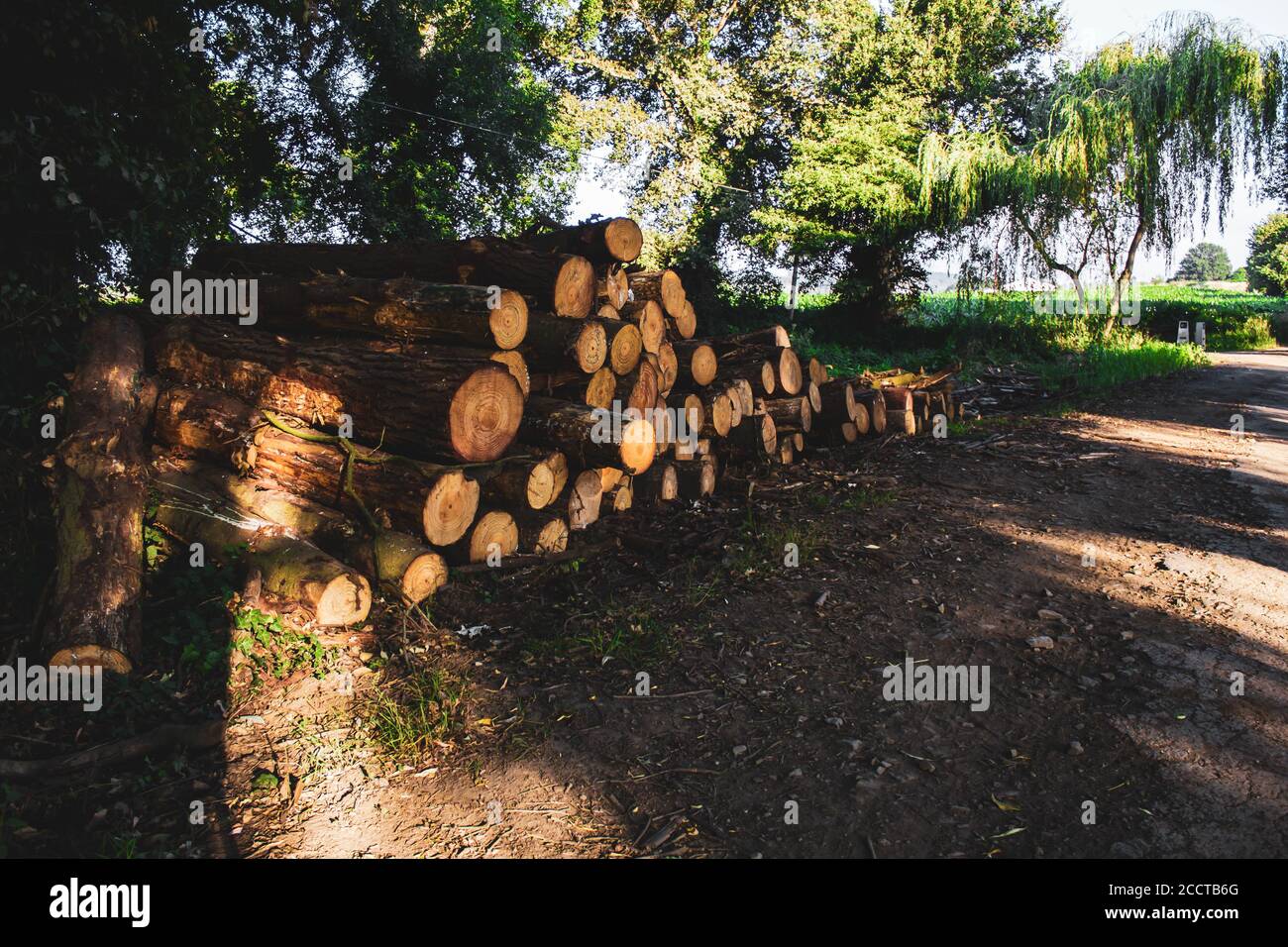 Woody mountain road hi-res stock photography and images - Alamy