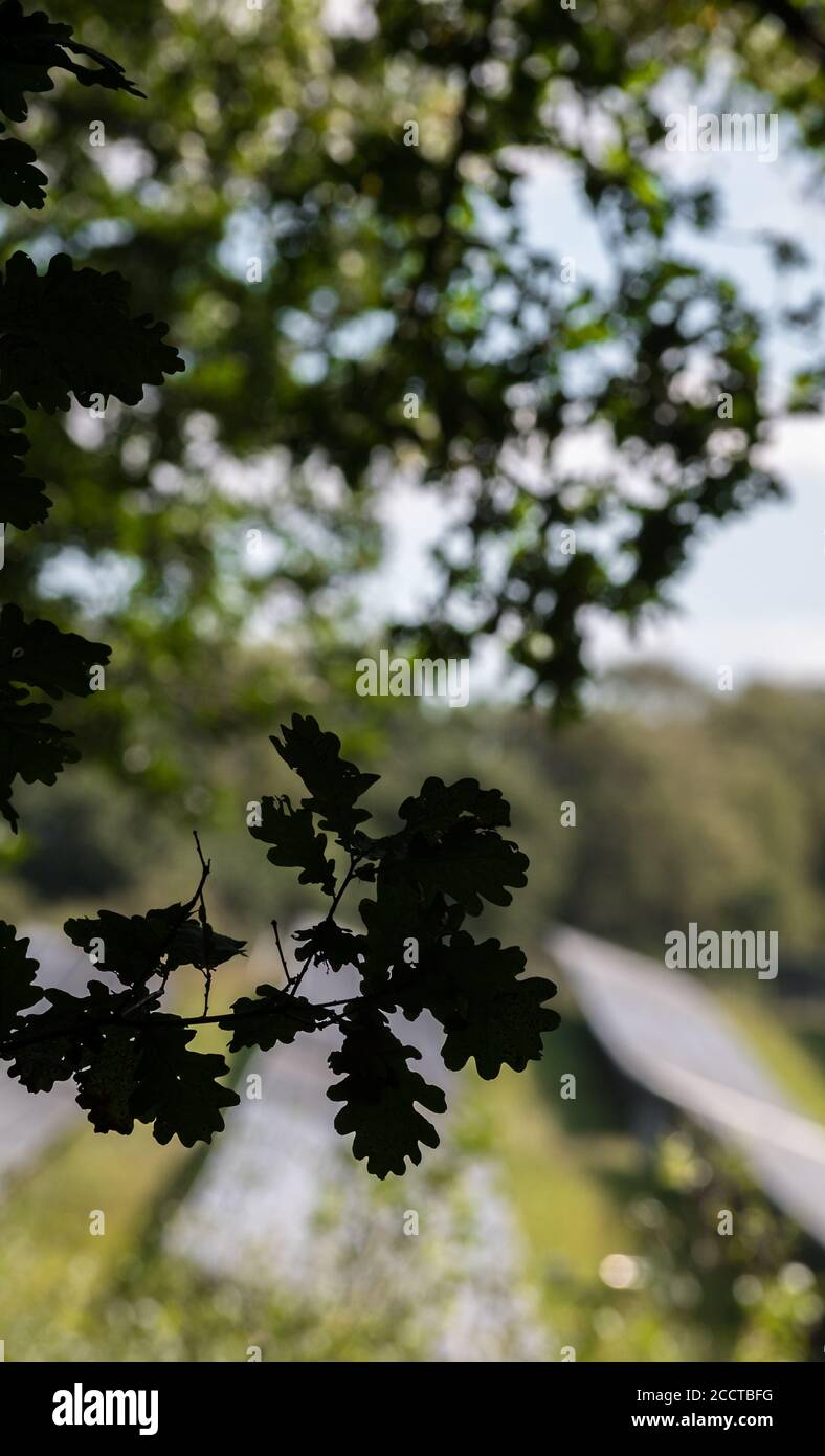 Solar farms britain hi-res stock photography and images - Alamy