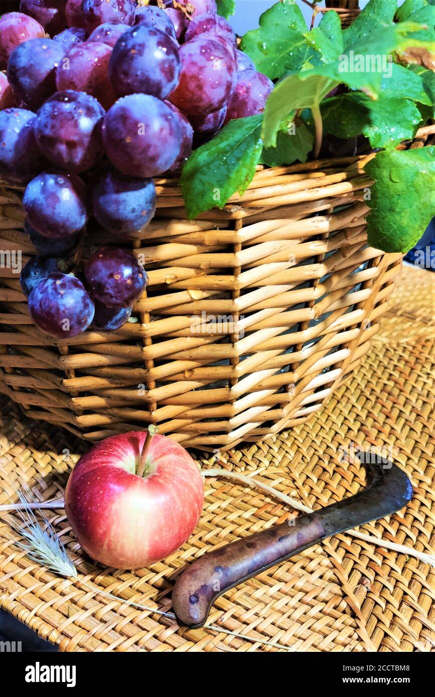 Fresh organic fruits in the garden. Biological concept, organic food ...