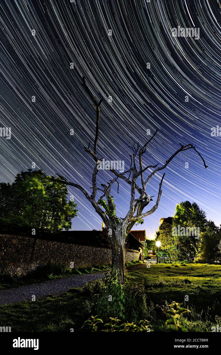 Trees, Star Trail in Colour Stock Photo - Alamy
