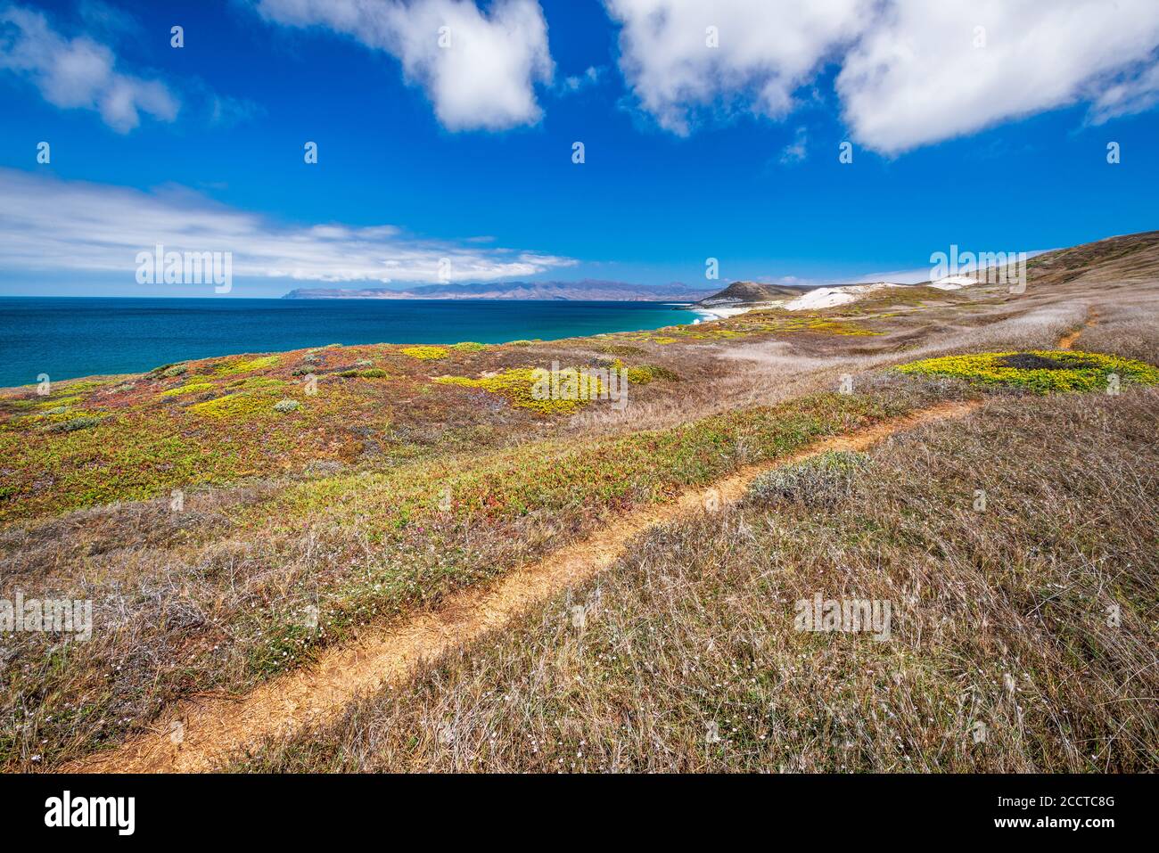 On the Skunk Point trail, Santa Rosa Island, Channel Islands National ...