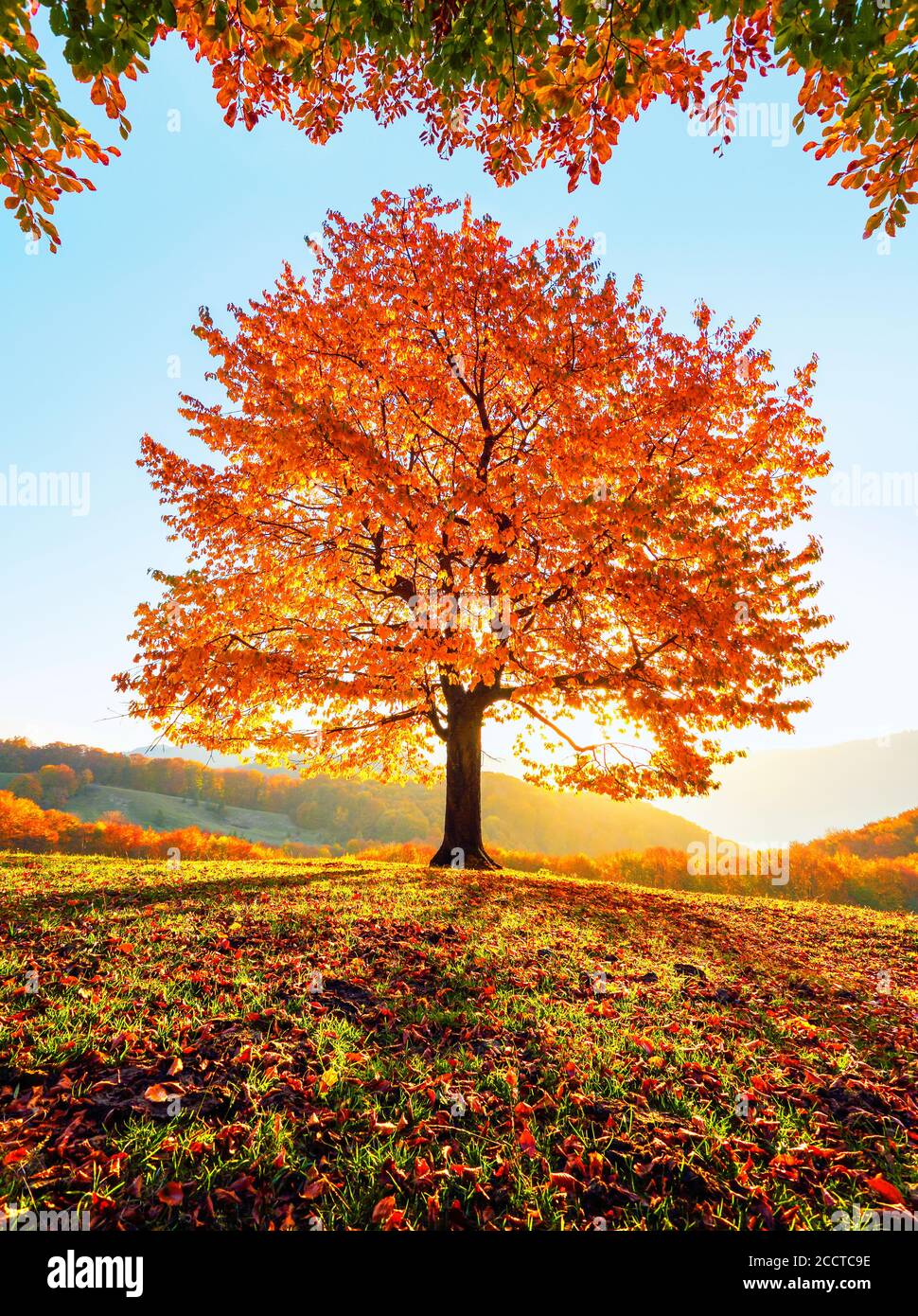 Meditate outdoor scenery hi-res stock photography and images - Alamy