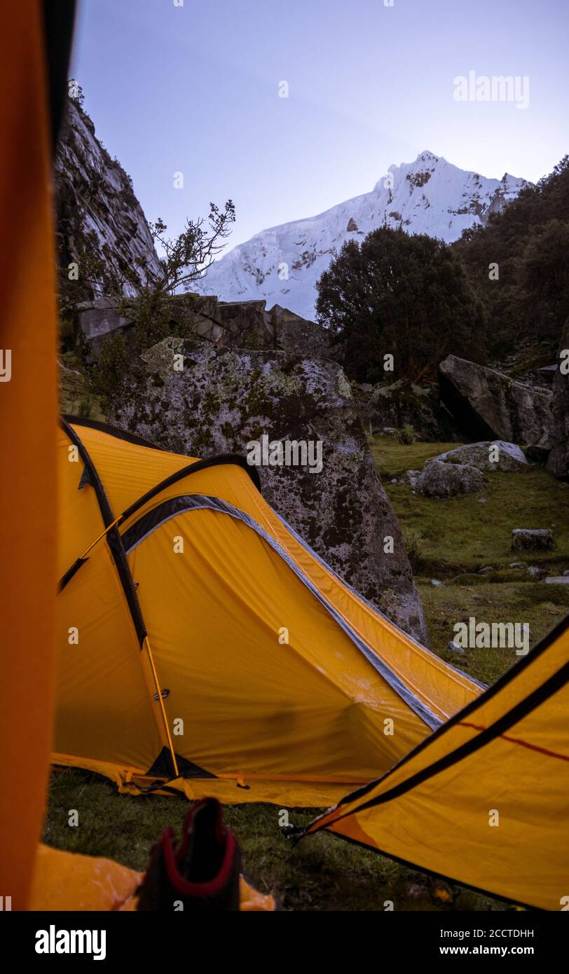 Camping camp tent yellow flowers hi-res stock photography and images ...