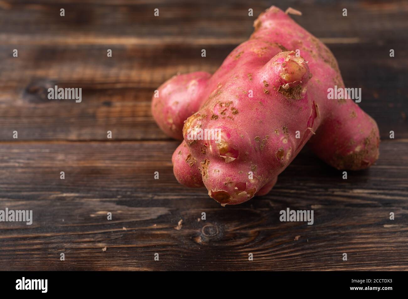 Close up trendy ugly organic potato looks like an animal from home ...