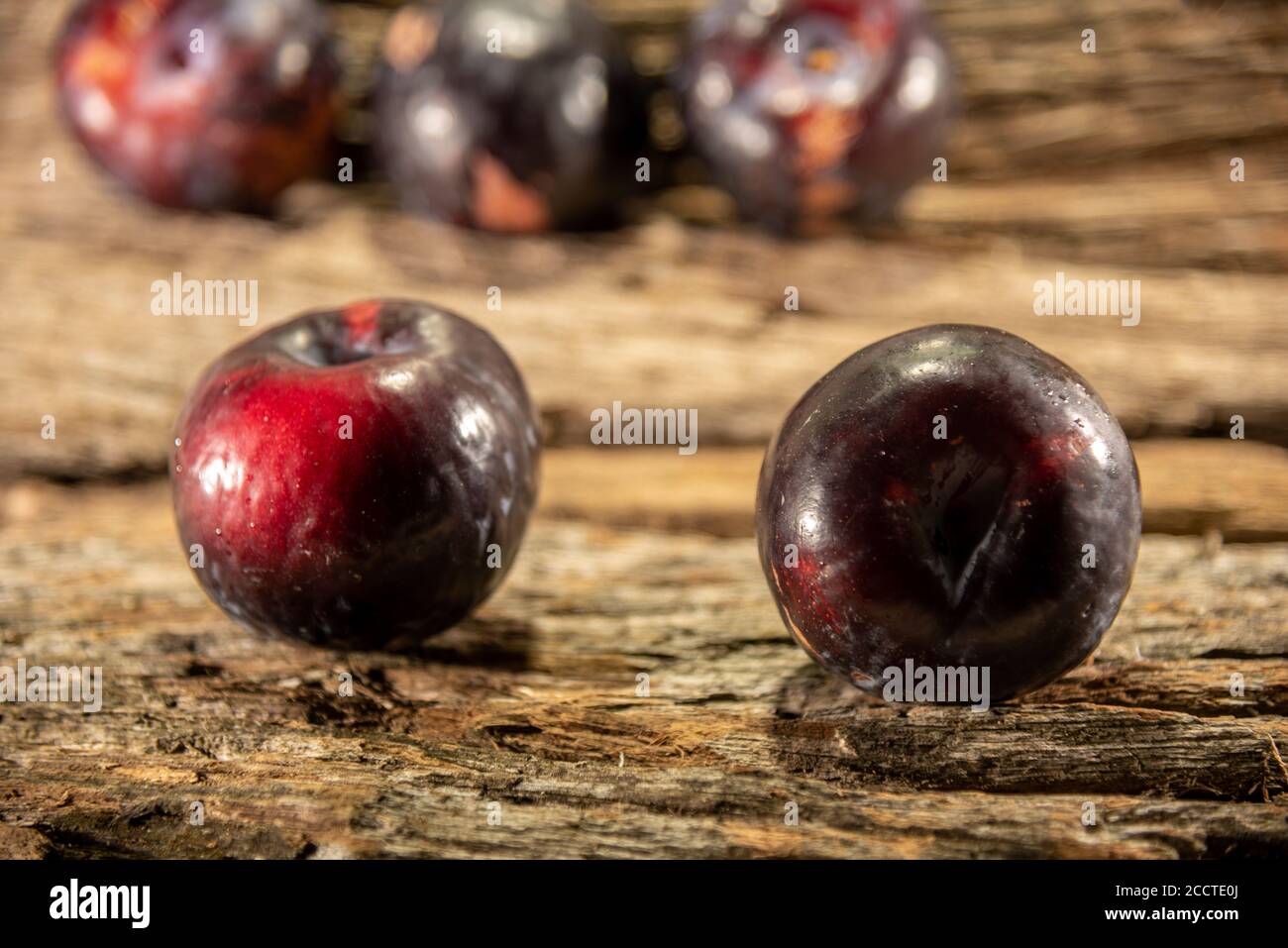 Fresh fruits of red plum. is a species of the genus Prunus with many ...
