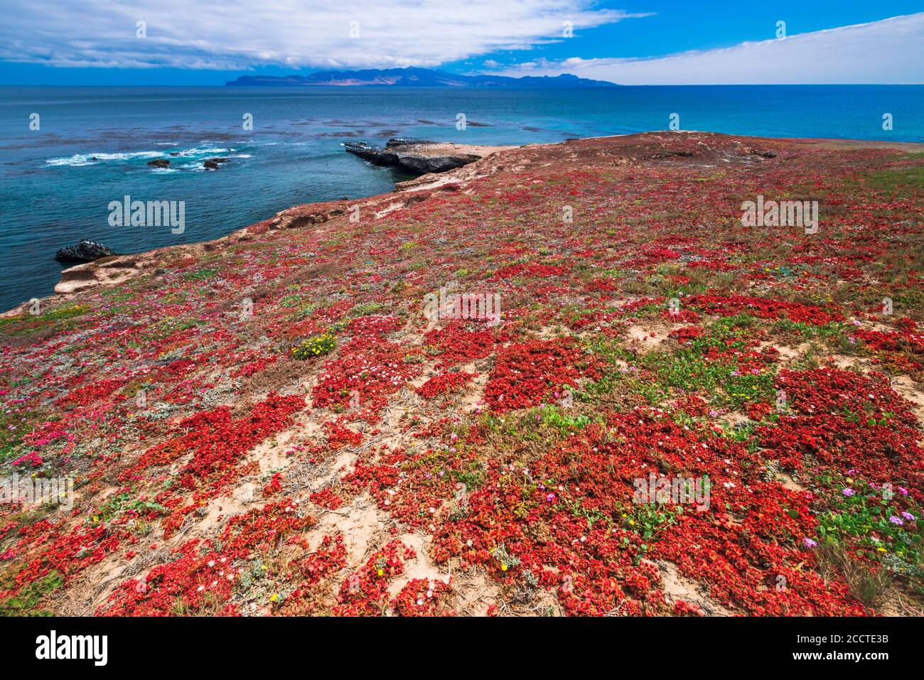 Santa Cruz Island from Carrington Point, Santa Rosa Island, Channel ...