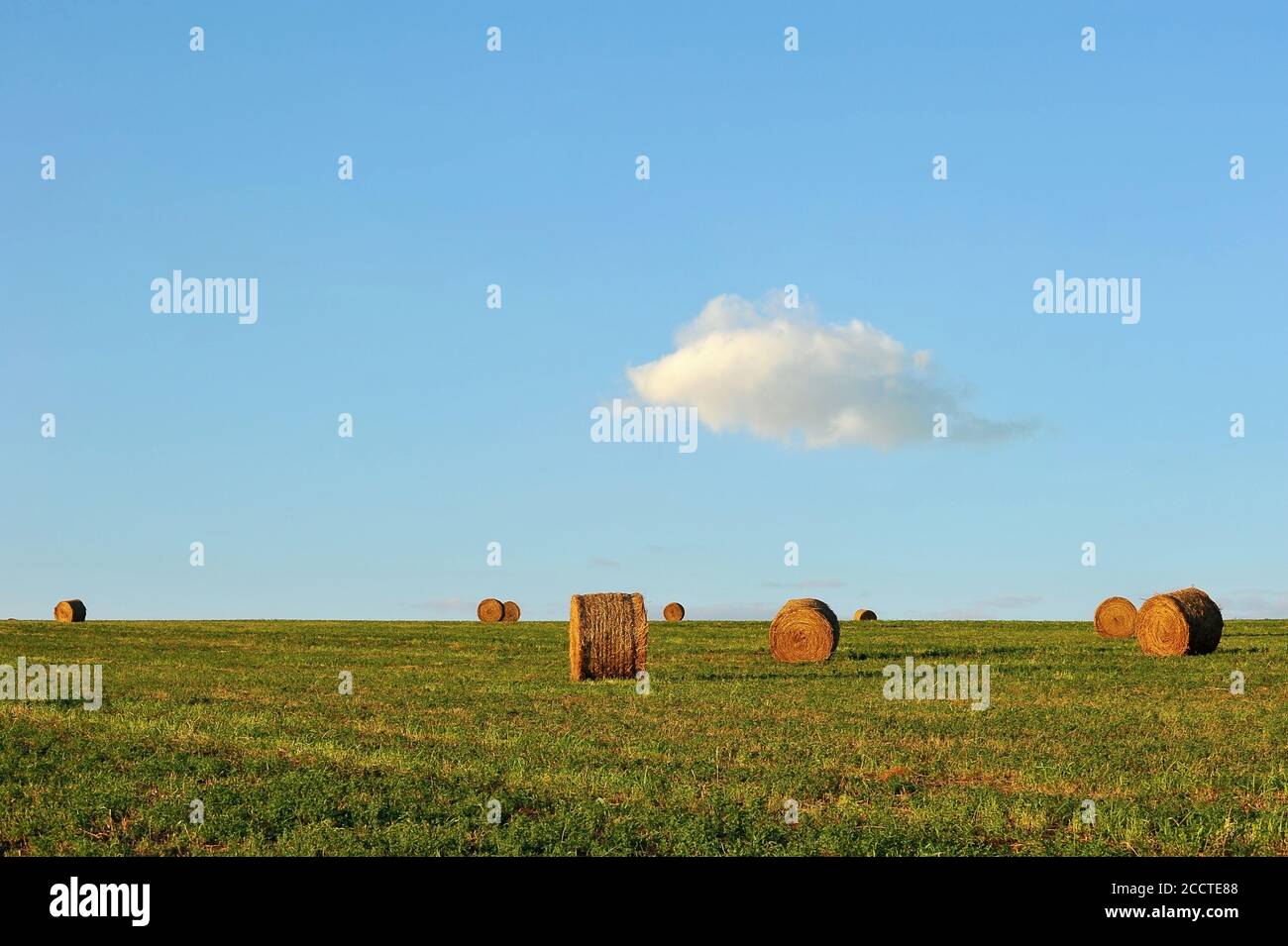 Straw roller hi-res stock photography and images - Alamy