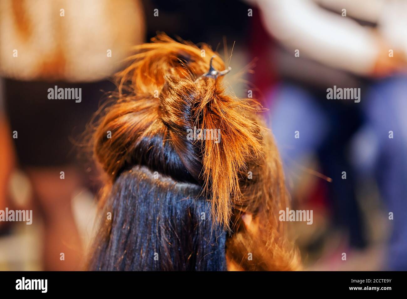modern hairstyles with the help of electric Styler Stock Photo - Alamy