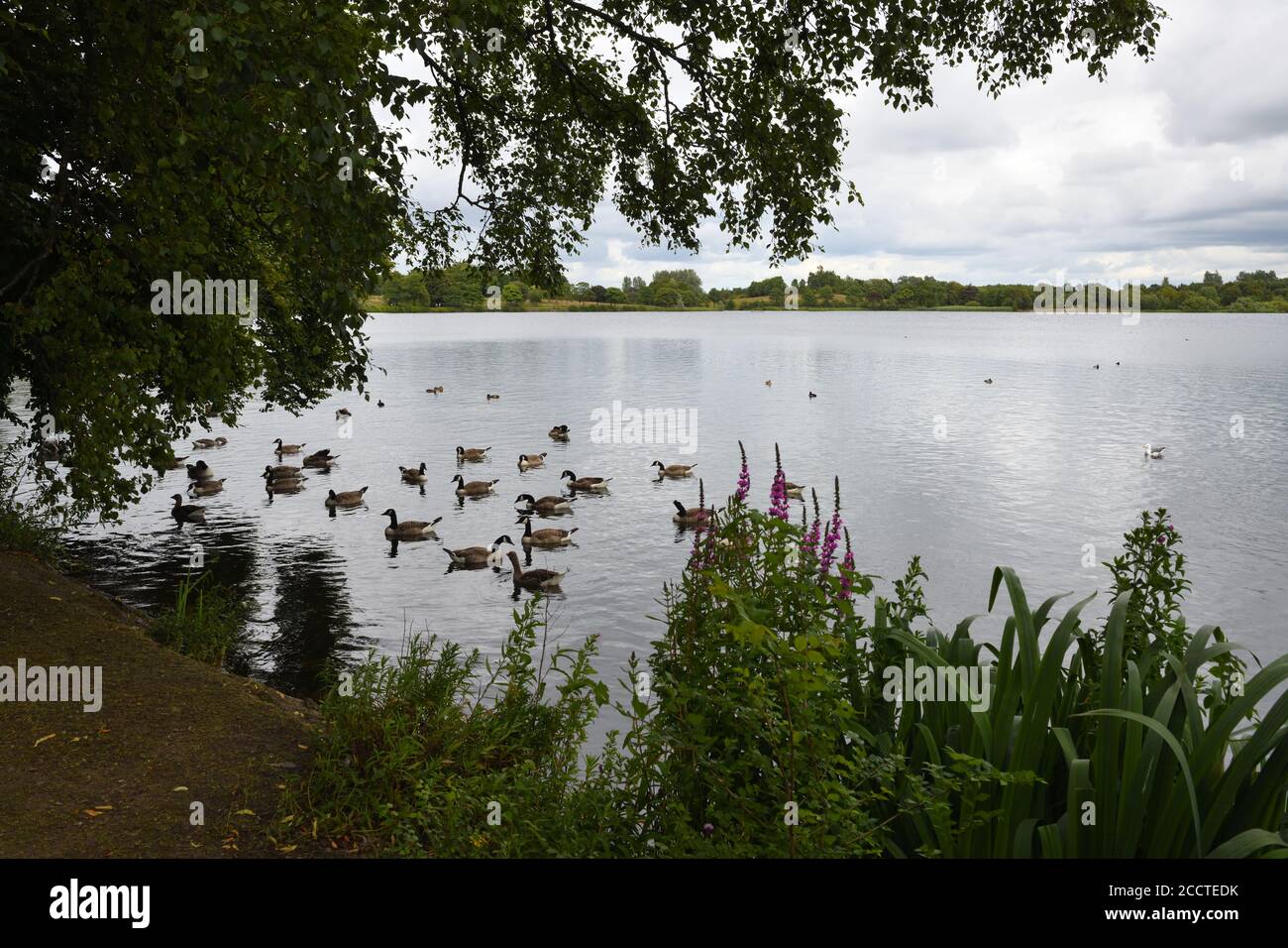 Seven lochs wetland park, glasgow hi-res stock photography and images ...