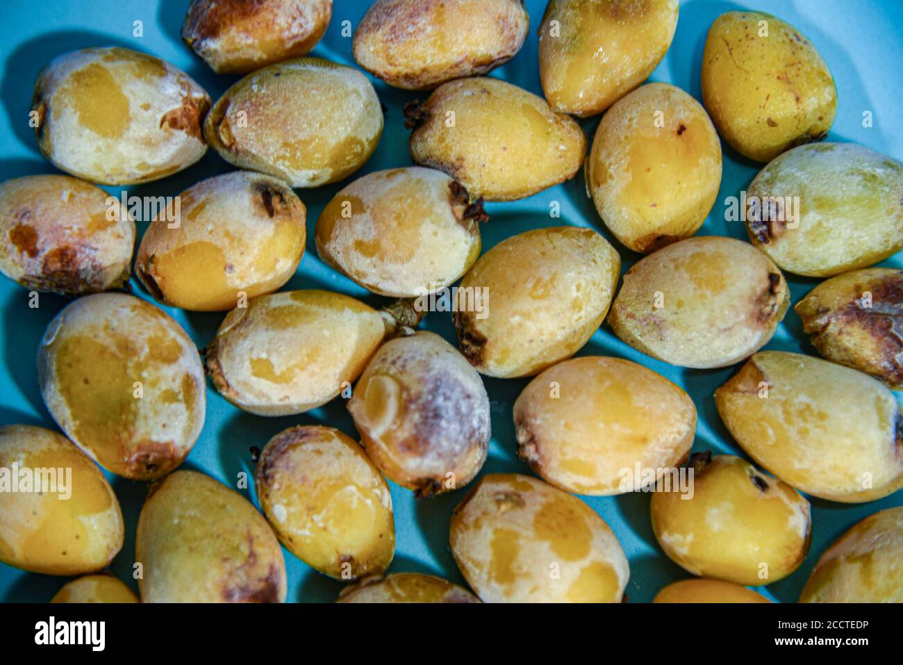 Medlar fruits (Eriobotrya japonica). The loquat is a plant species of ...