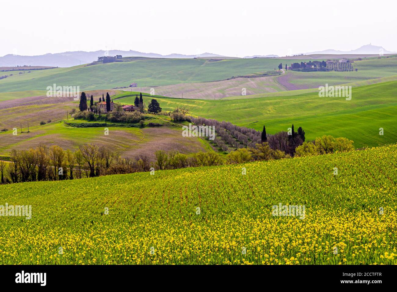 Hills, cypresses, fields, relaxation ... Tuscan landscape in spring ...