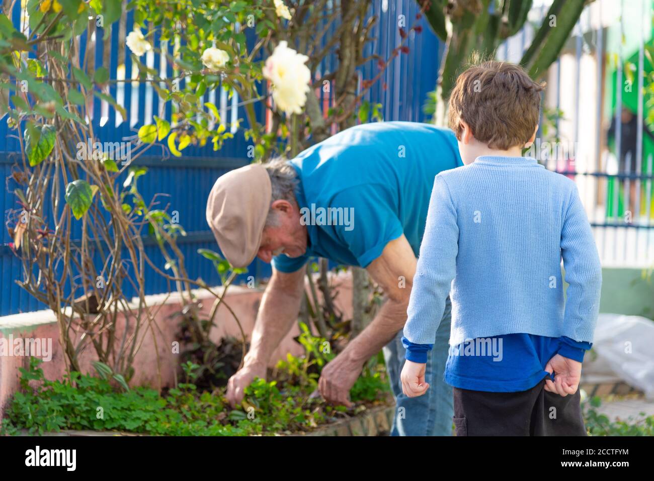 Grandfather and grandson cleaning the garden. Brazilian child ...