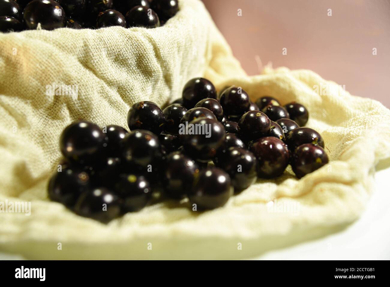 Jabuticaba is Brazilian fruit native to the Atlantic Forest. It has few ...