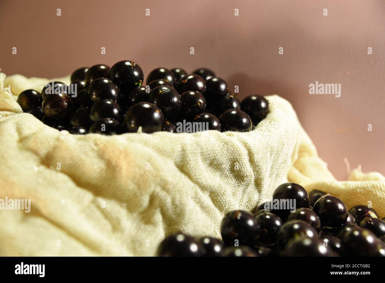 Jabuticaba is Brazilian fruit native to the Atlantic Forest. It has few ...