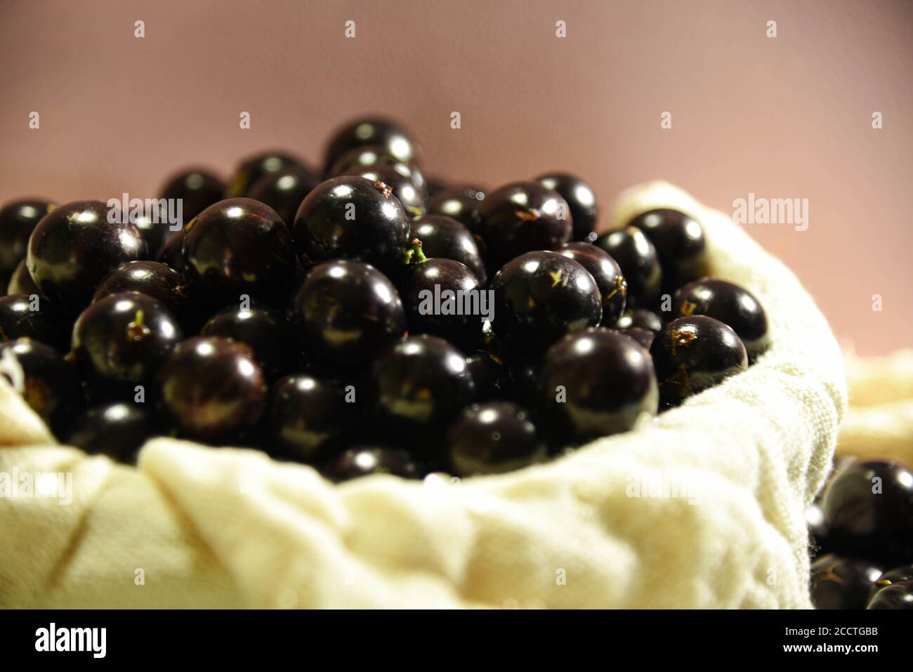 Jabuticaba is Brazilian fruit native to the Atlantic Forest. It has few ...