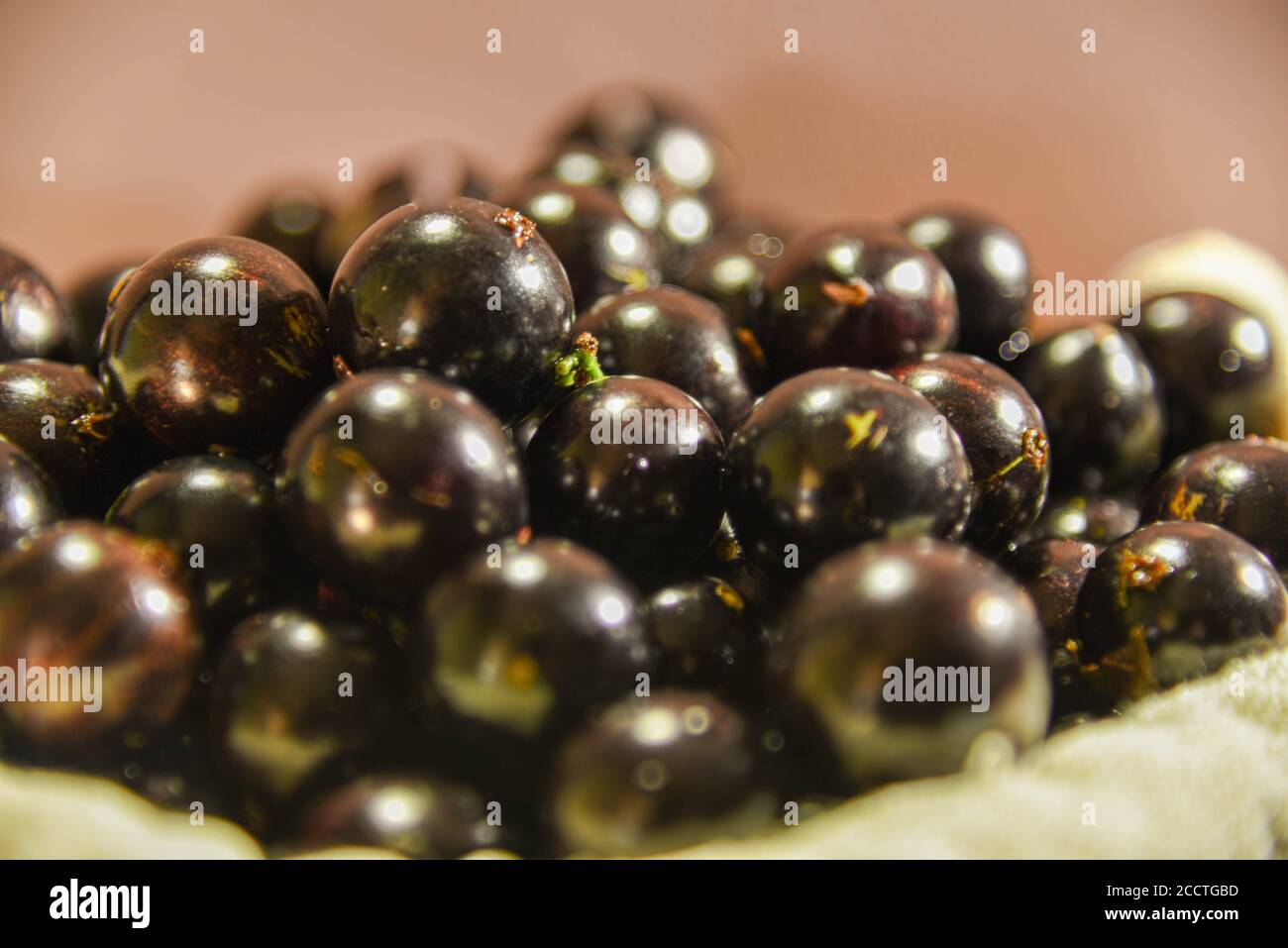 Jabuticaba is Brazilian fruit native to the Atlantic Forest. It has few ...